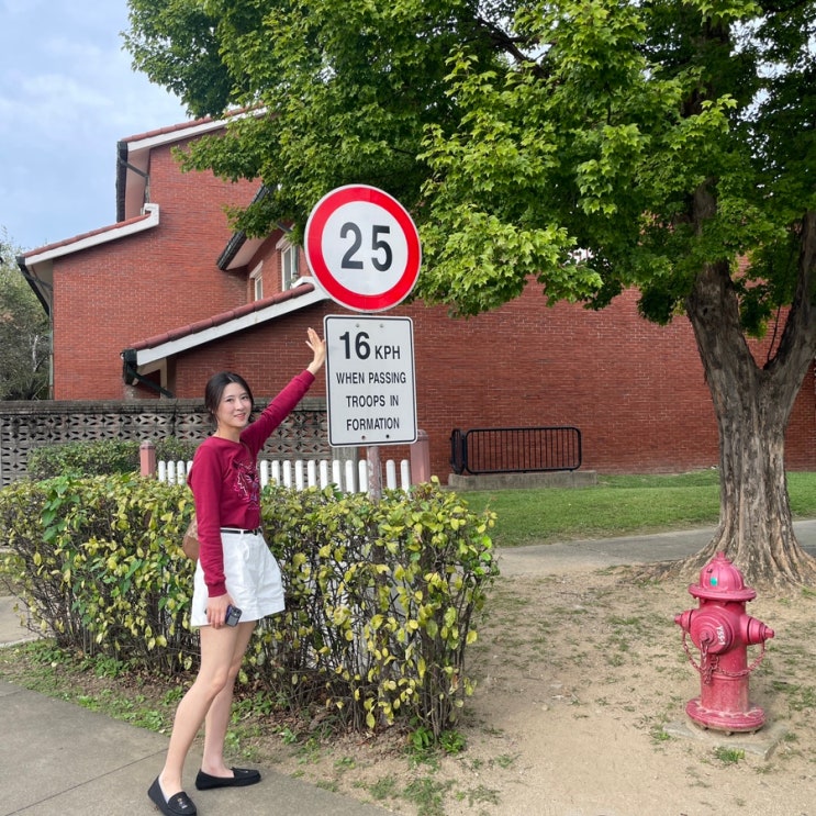 [용산 데이트 추천] 서울 용산공원 미군기지 용산 가족공원 보니스 피자펍 코레아노스 키친 서울에서 미국 느끼기 이색