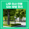 나무 의사 자격증 시험 되는 방법 정리연봉 네이버 블로그