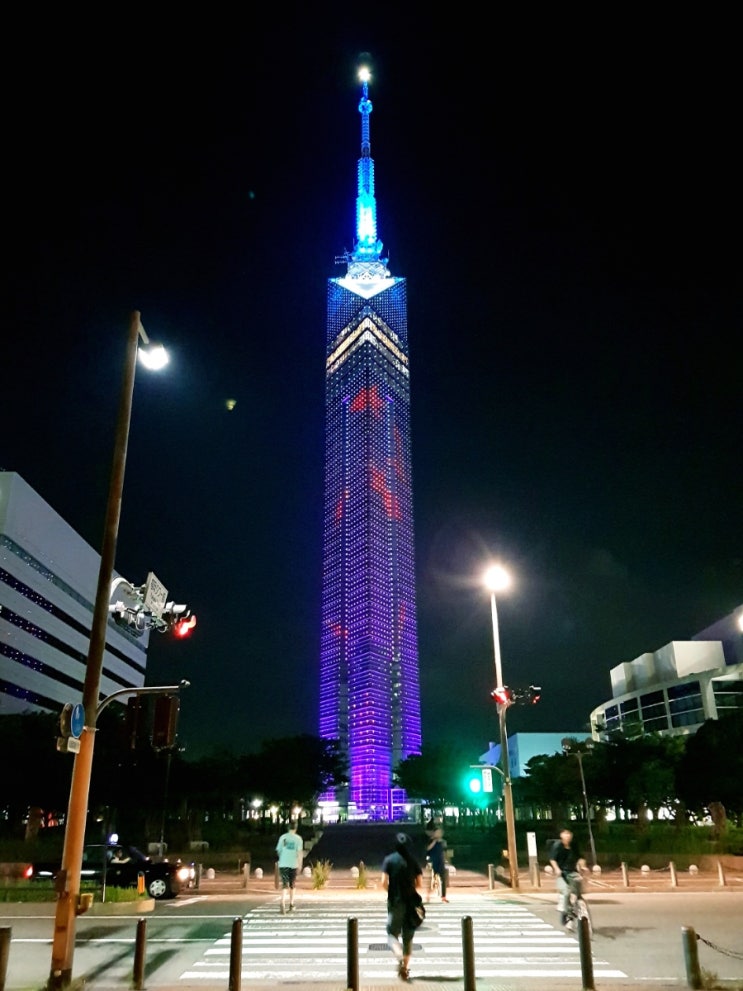큐슈여행 하카타와 텐진에서 후쿠오카타워 가는법 야경명소 입장권 가격 일본버스 주의사항 모모치해변 일루미네이션 네이버 블로그