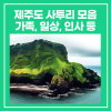 제주도 사투리 모음 맨도롱또똣뜻 정리 네이버 블로그