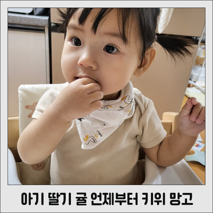 아기 딸기 귤 언제부터 키위 망고 아기 과일 시기 네이버 블로그