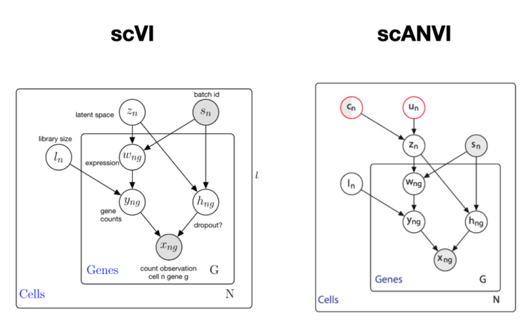 [논문리뷰] scANVI (CVAE) : 네이버 블로그