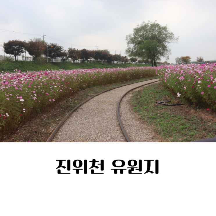 평택 가볼만한곳 진위천 유원지 추천해요 레일바이크 캠핑장 정보 네이버 블로그