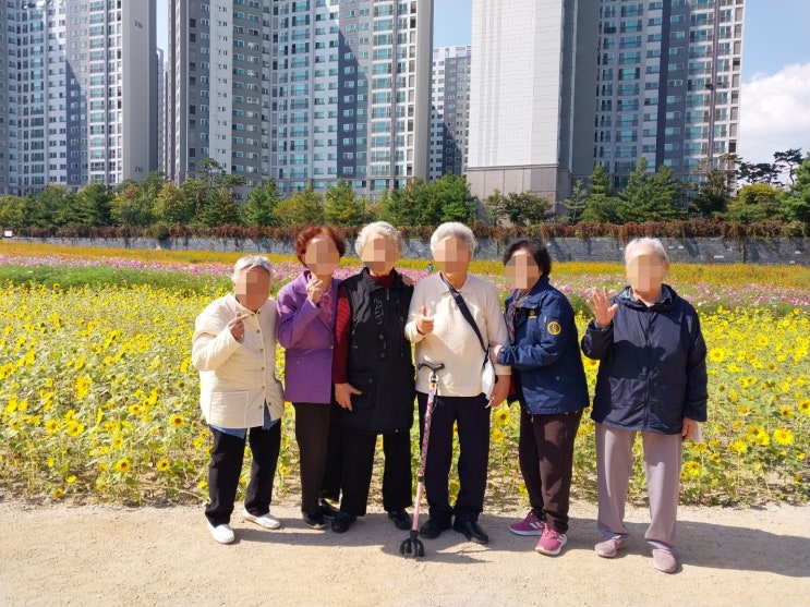 동대문구 데이케어센터 산책활동느티나무 데이케어 신체활동 프로그램 소개 네이버 블로그