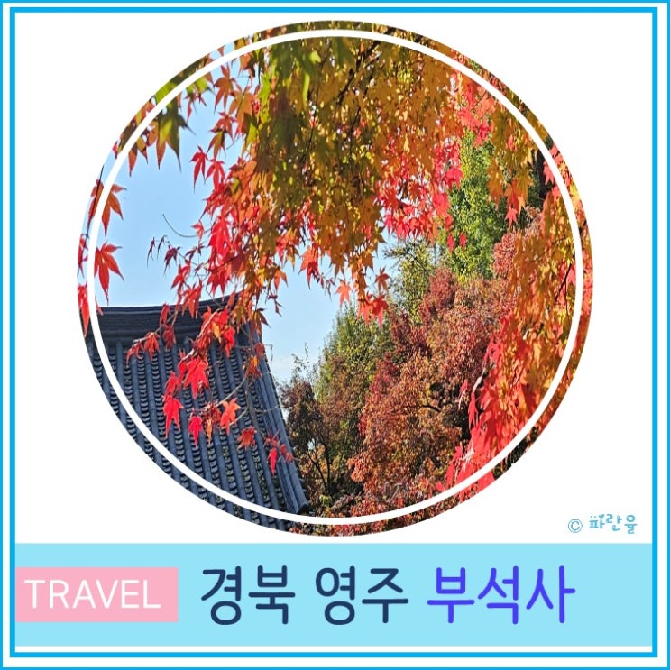 대구 근교 산책하기좋은 영주 부석사 은행나무길 주차장 경북 가을 단풍 여행 가볼만한 곳 유명 사찰 절 투어 네이버 블로그