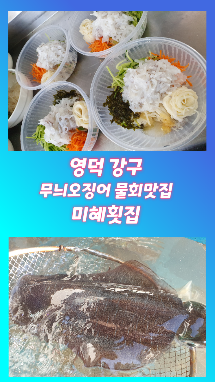 영덕 강구횟집 무늬오징어 물회 입니다 : 네이버 블로그