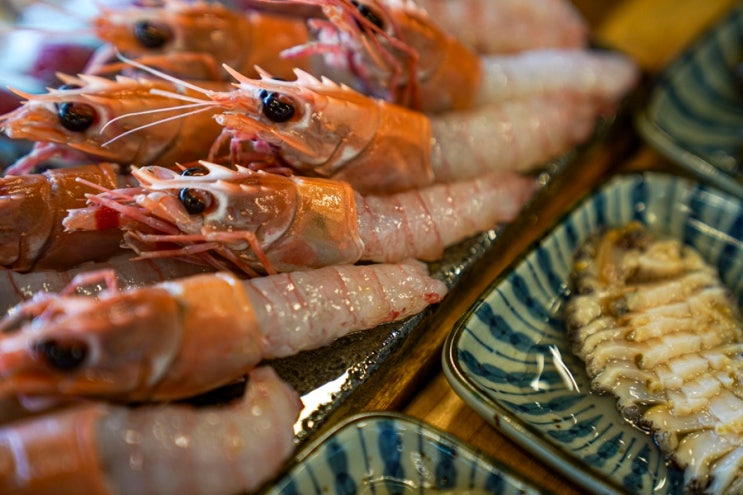 신선한 고등어회와 딱새우회를 맛볼 수 있는 제주 협재 맛집 옹포횟집 제주한림협재점” 네이버 블로그
