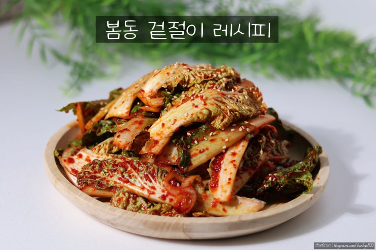 봄동 겉절이 레시피 초간단 봄동김치 겉절이 양념 봄동무침 만드는법 가을 제철반찬 네이버 블로그
