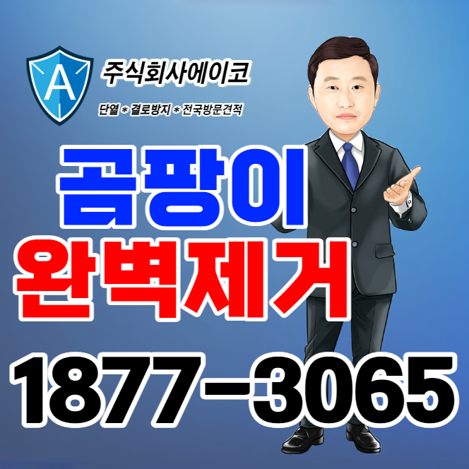 겨울철 베란다 곰팡이 제거 세탁실 탄성코팅 작업전문업체 네이버 블로그