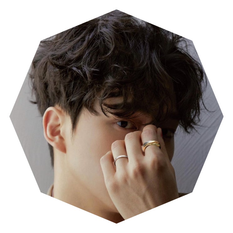 남자펌 종류 가르마펌 애즈펌 댄디펌 쉐도우펌 가일펌 남자연예인머리 레퍼런스 모음zip 네이버 블로그