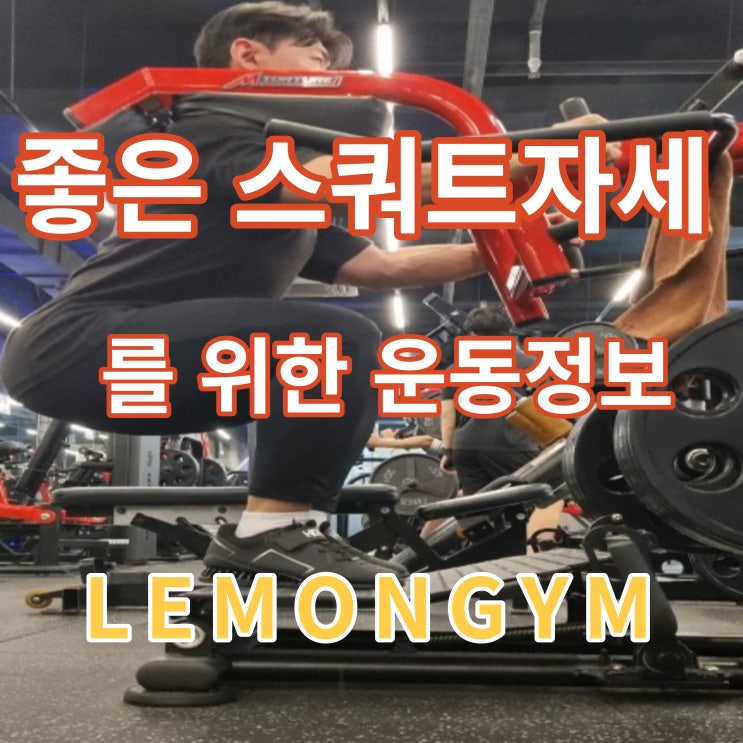 [안양pt] 안양1:1PT전문센터 좋은 스쿼트자세를 위한 운동정보 : 네이버 블로그