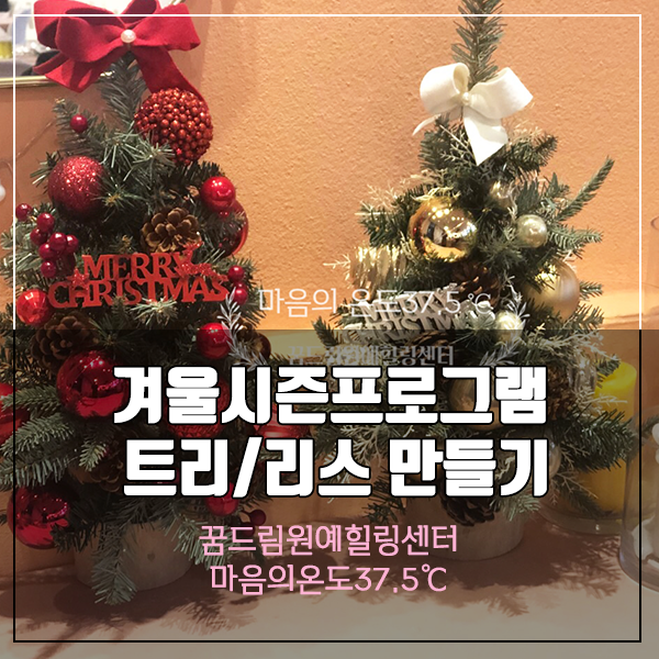 겨울시즌프로그램 트리 리스 만들기크리스마스겨울체험방학프로그램원예수업특수아동특수교육센터교육청복지관마음치유