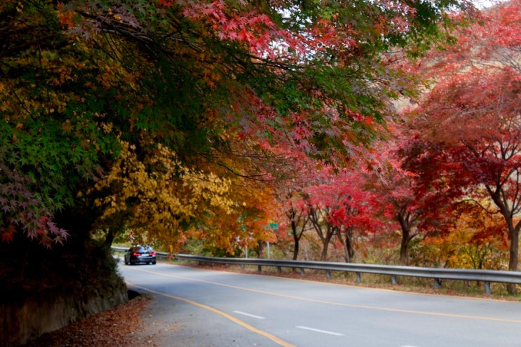 지리산 뱀사골 달궁계곡단풍명소 드라이브 주차장안내 아름다운길로 선정된 곳 네이버 블로그