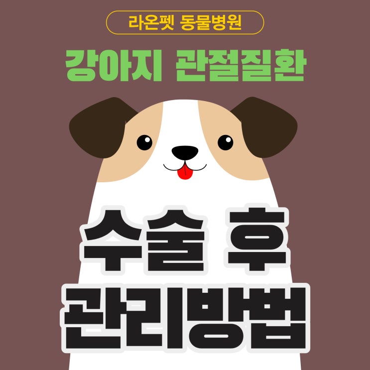 강아지 슬개골 탈구 십자인대 수술 후 보이는 반응 관리방법 주의사항 준비물 응급시 대처법 네이버 블로그