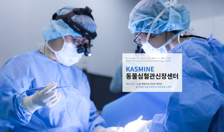 ★NEW OPEN★ 카스민 홈페이지를 소개합니다~! : 네이버 블로그