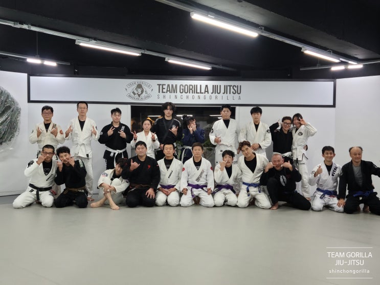 팀 고릴라주짓수 본관 용인수지주짓수전문체육관 용인수지고릴라주짓수 신촌고릴라 최병규주짓수 운동하기 좋은 계절 가을에