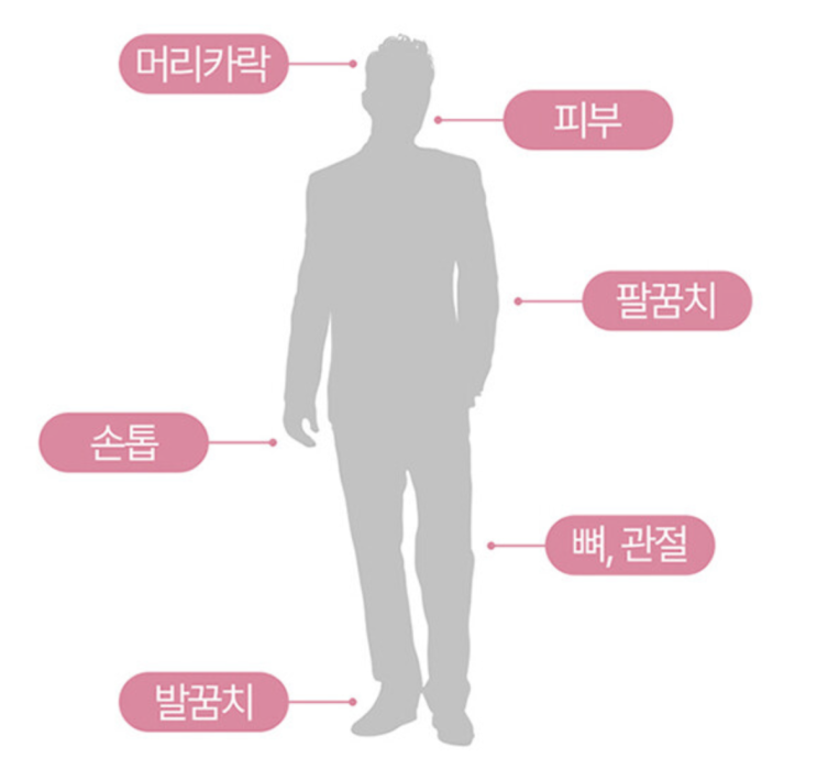 에버콜라겐 블랙 저분자콜라겐펩타이드 Feat 맥주효모 비오틴 에버콜라겐 1등 콜라겐 리뷰 Review 네이버 블로그