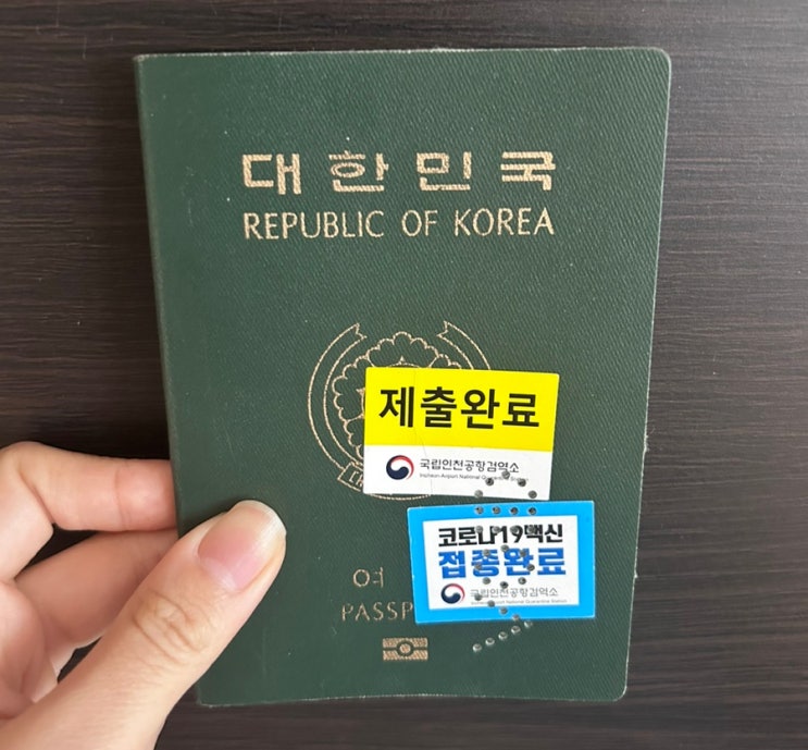 인천공항 긴급 여권 발급처 사유 기간 준비물 사진 규격 귀 네이버 블로그