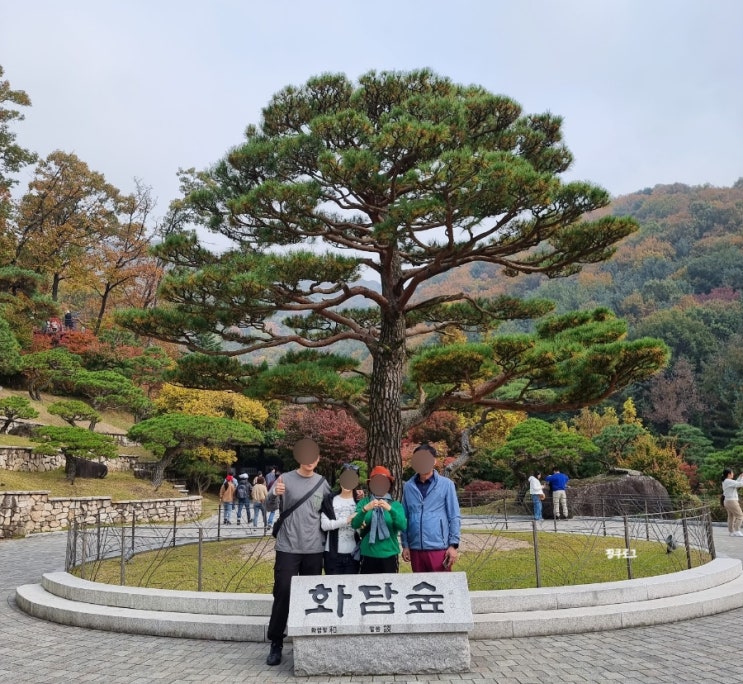 경기도 광주 곤지암리조트 화담숲 단풍 시기 예매 부모님과 다녀온 후기 네이버 블로그