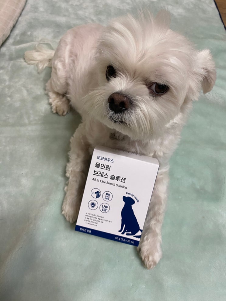 강아지기관지영양제 모모하우스 브레스 솔루션 네이버 블로그