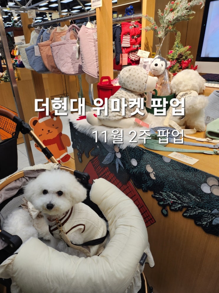 [더현대서울] 더현대 위마켓팝업/11월 2주차 : 네이버 블로그