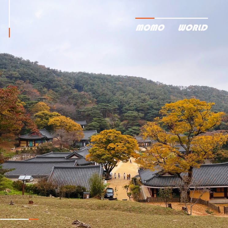 강화도 전등사 단풍 죽림다원 은행나무 소요시간 네이버 블로그