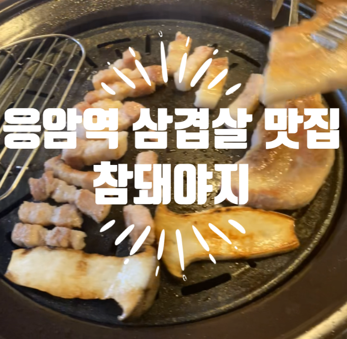 응암역 고기집 신사동 삼겹살 참돼야지 추천드려요 네이버 블로그