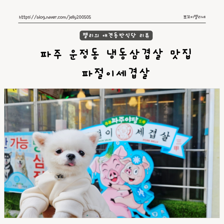 파주 운정동 애견동반식당 파절이세겹살 냉동삼겹살 야무지게 먹고 왔어요~ 네이버 블로그