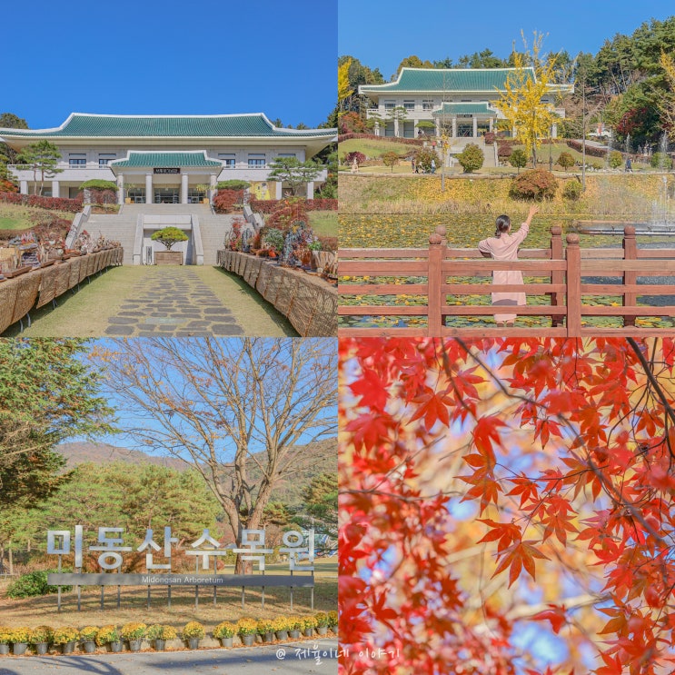 충북 청주 여행코스 가볼만한곳 청남대 미동산수목원 등 가을 단풍 국화 축제 네이버 블로그