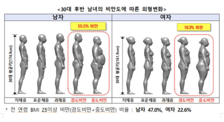 2023 대한민국 평균 키 And 몸무게 미용 신장 And 체중 네이버 블로그