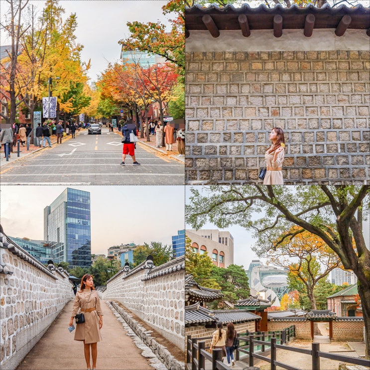 서울 단풍 명소 덕수궁 돌담길 고종의길 뚜벅이여행 네이버 블로그