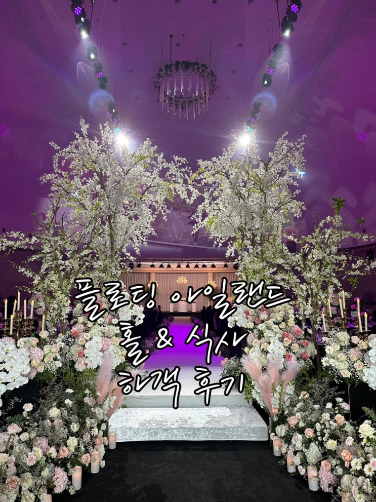 한강뷰 웨딩홀 세빛섬 플로팅아일랜드 하객 후기 주차 And 홀 And 동시예식 식사 뷔페 X 네이버 블로그