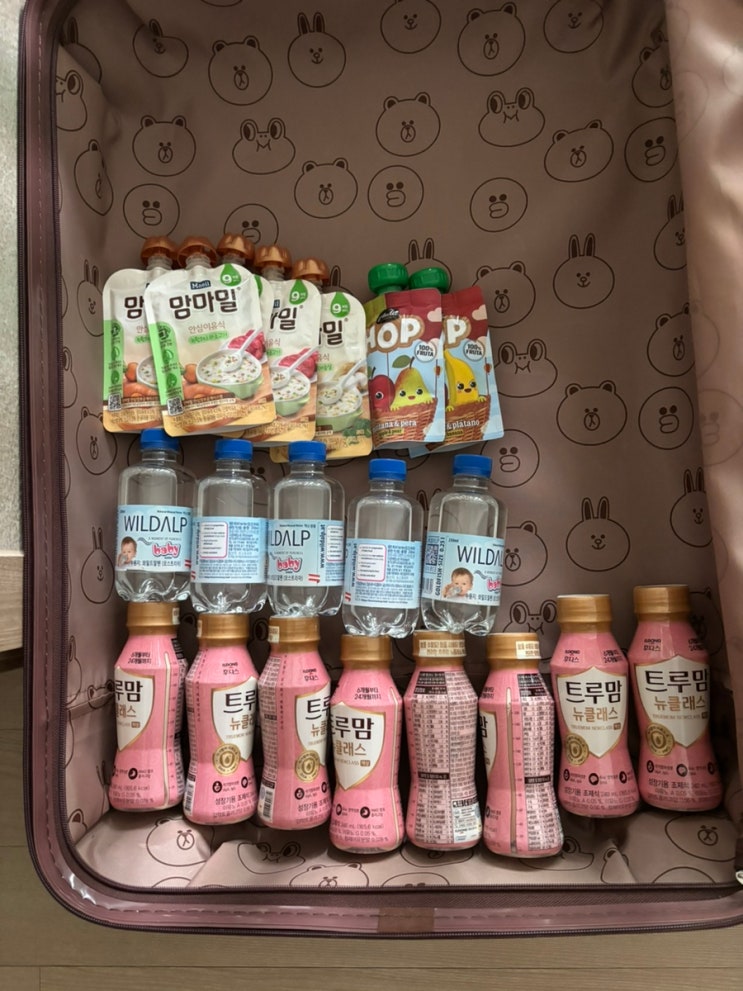 8개월 아기와 함께 해외여행 1 여행준비기 아시아나 서비스 베시넷도어투도어이유식 네이버 블로그