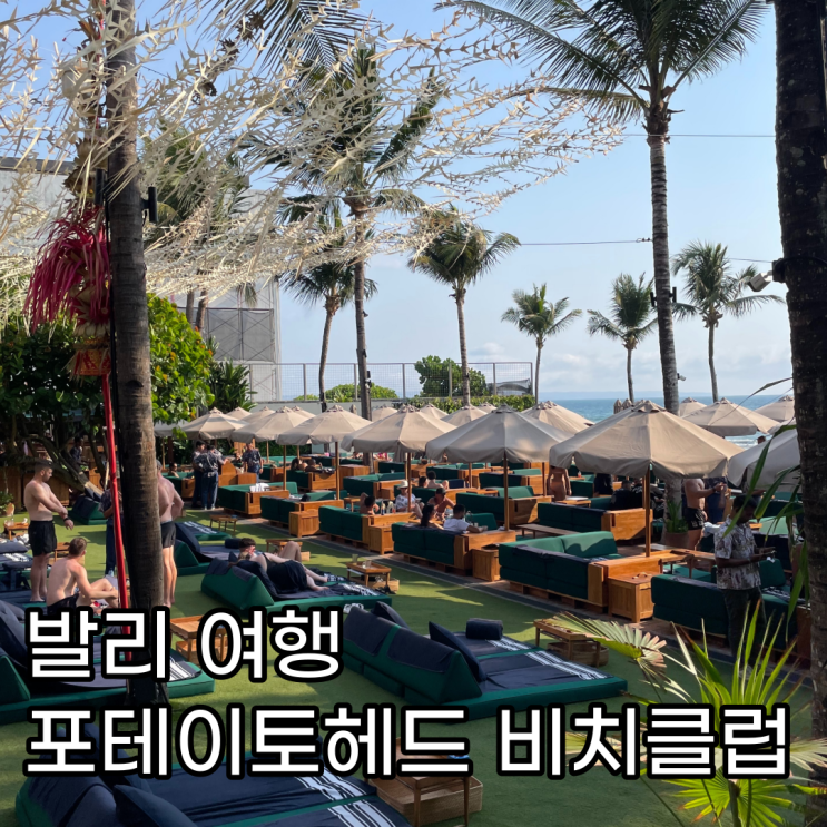 발리여행 Part3 포테이토헤드 비치클럽 포테이토호텔 수영장 And 선셋파크 네이버 블로그