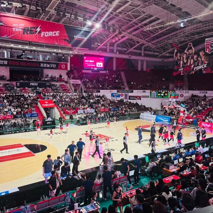 Kbl 안양정관장레드부스터스 Vs 고양소노스카이거너스 승리가 이렇게 감동적인 것이었나요 ㅣ안양실내체육관 직관 후기
