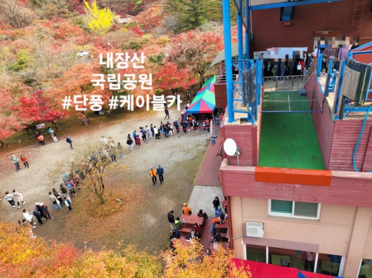 내장산 국립공원 케이블카 포기하고 전망대까지 걸어 올라간 후기주차장 등산 코스 단풍열차 네이버 블로그