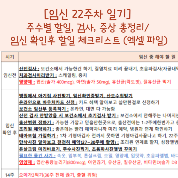 임신 22주차 일기 임신 주수별 할일 증상 검사 임신확인후 할일 체크리스트 0~22주 임신 총정리 엑셀 파일