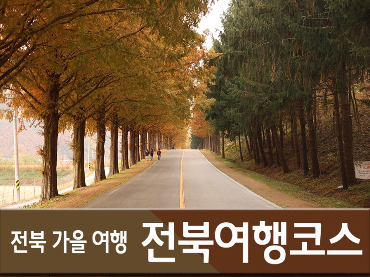 전북 가을 여행 코스 김제 금산사 전주 레일바이크 진안 모래재 무주 덕유산 곤도라 케이블카 군산 경암동 철길마을