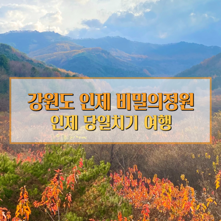강원도 인제 당일치기 여행 ‘비밀의정원 사진찍기좋은곳 출사지 경치 국내 일출 명소 추천 네이버 블로그
