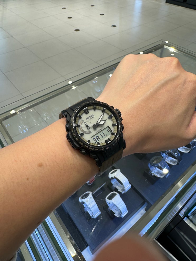 프로트렉 / PRW-61LD-5DR / 야광다이얼 / 어반아웃도어워치 / 재고소진 : 네이버 블로그