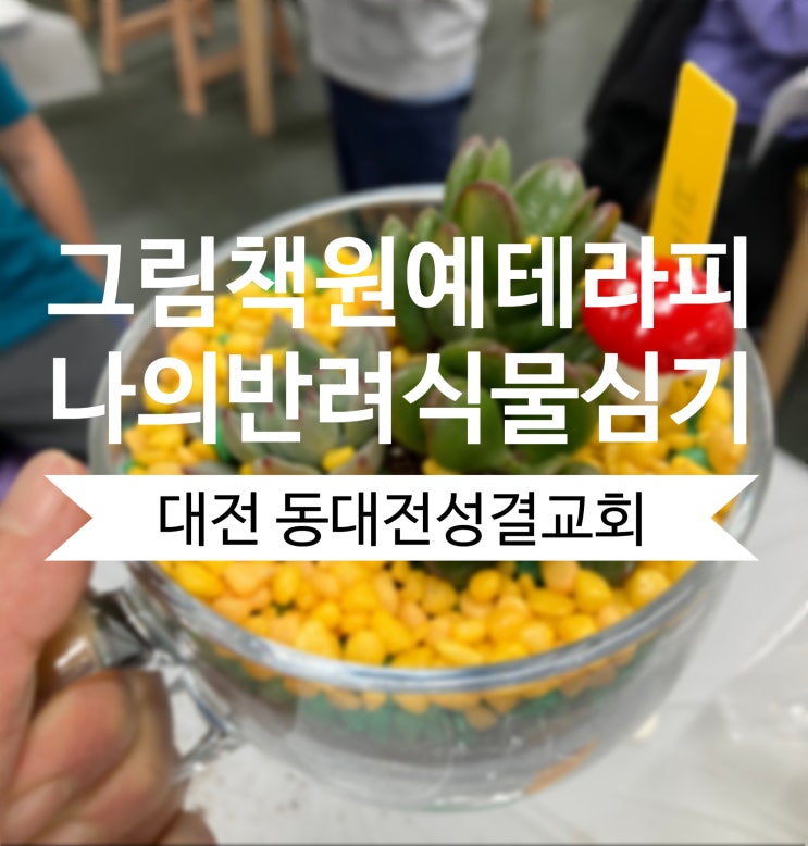 그림책원예테라피 친구와 함께 나의 반려식물 다육심기 동대전성결교회 네이버 블로그
