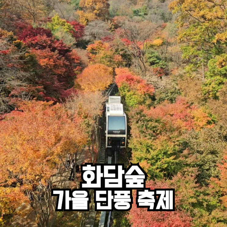 경기도 단풍명소 화담숲 가을 단풍축제 입장료 모노레일 예약 방법과 단풍시기 네이버 블로그