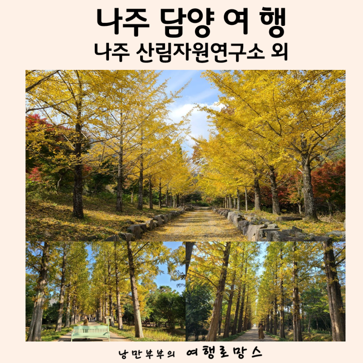 전남 나주 산림자원연구소 메타세콰이어길 단풍 외 담양 가을에 가볼만한곳 네이버 블로그