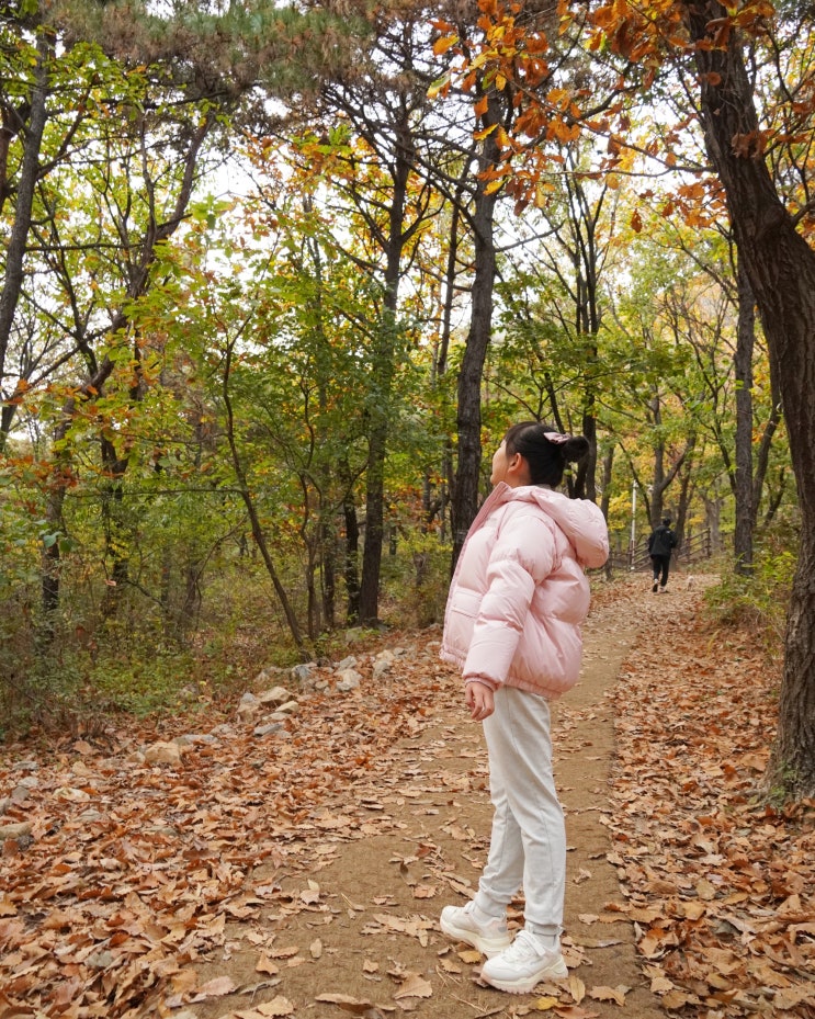 겨울등산패션 디스커버리키즈 여아패딩 운동화로 코디하기 네이버 블로그
