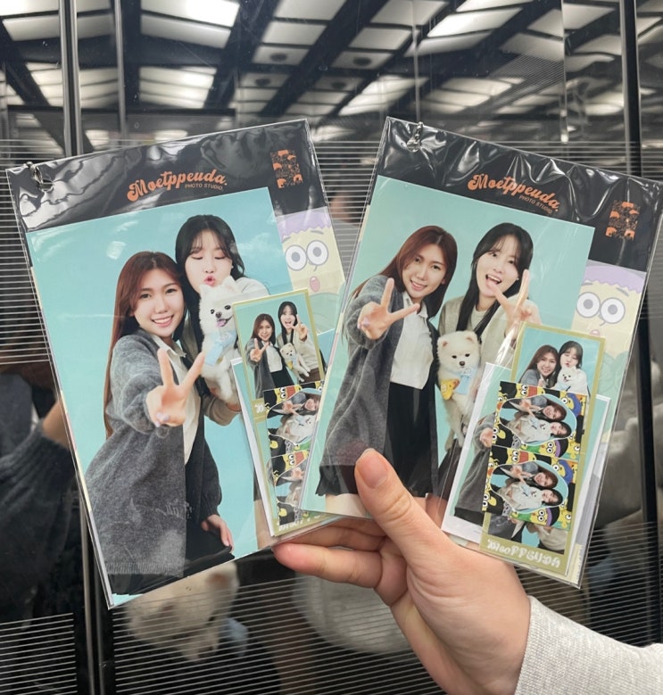 진주 우정사진 셀프촬영 가능한 셀프사진관 너참멋쁘다feat반려견 프로필촬영 네이버 블로그