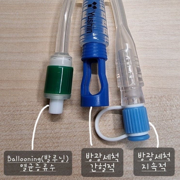 Foley샐때/막힐때/방광세척 /간헐적방광세척/Bladder irrigation/BI : 네이버 블로그