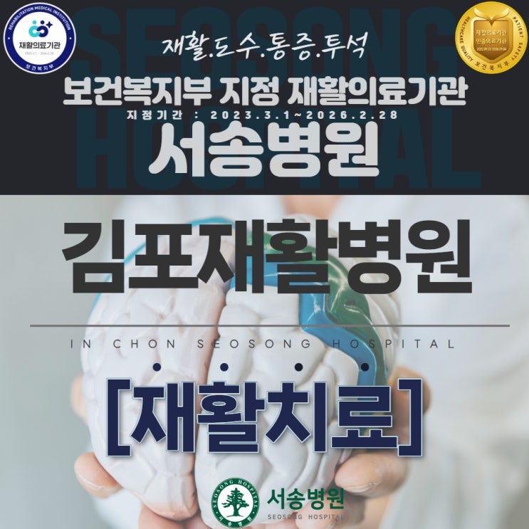김포재활병원 뇌졸중 재활치료 시기와 다양성 네이버 블로그