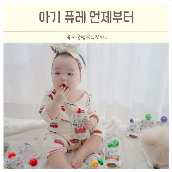 6개월 아기 간식 과일 퓨레 이유식 언제부터 알렉스앤필 네이버 블로그