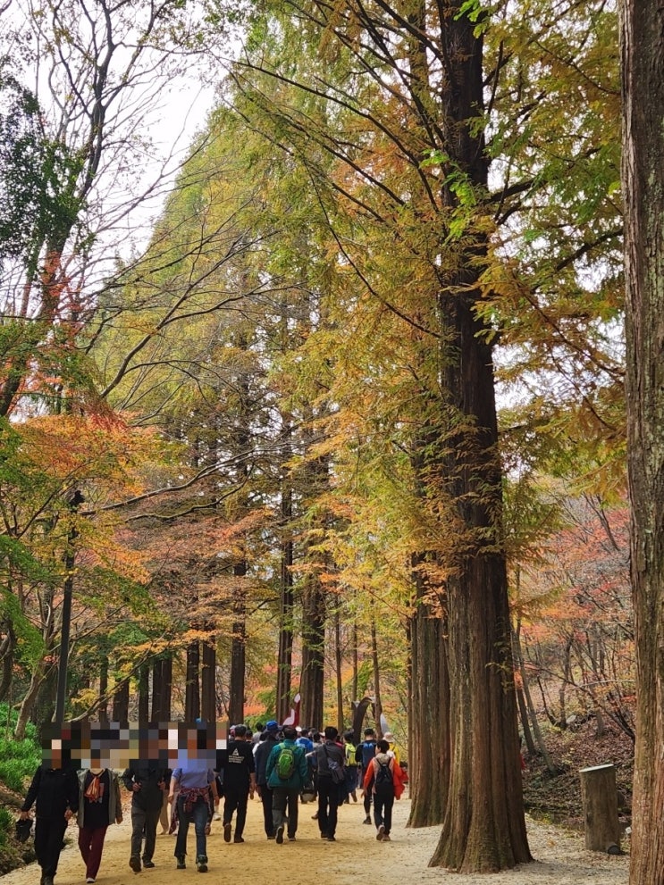 전북 순창 산책하기 좋은 가을단풍 명소 강천산군립공원23115 방문 네이버 블로그