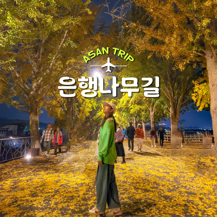 단풍 야경을 볼 수 있는 아산 곡교천 은행나무길 주차장 네이버 블로그